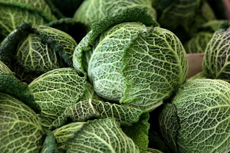 Najjednostavnija priprema variva od kelja! - Dnevno.hr