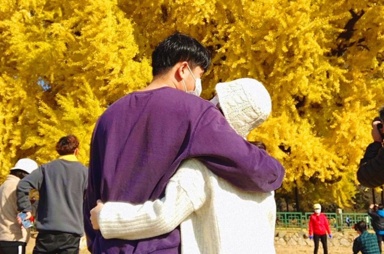 Najljepše drvo na svijetu će vas očarati: Svakog dana posjeti ga 4000 ...